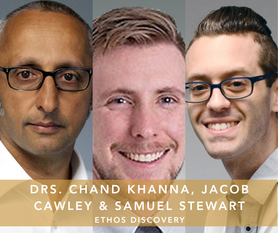 CHF Health Discovery of the Year | AKC Canine Health Foundation