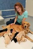 AKC Canine Health Foundation | HOW MOTHERS MATTER: THE INFLUENCE OF ...