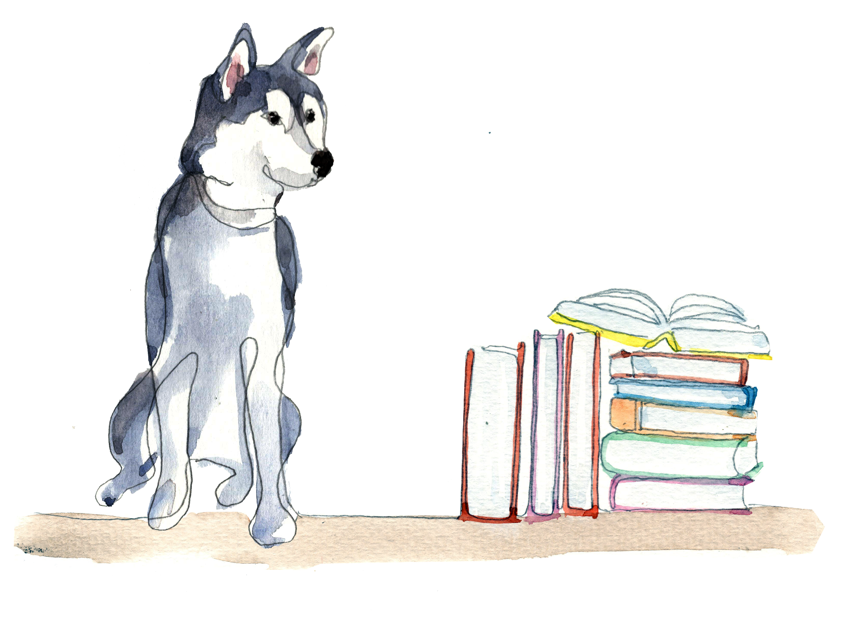 Knowledge Hub | AKC Canine Health Foundation