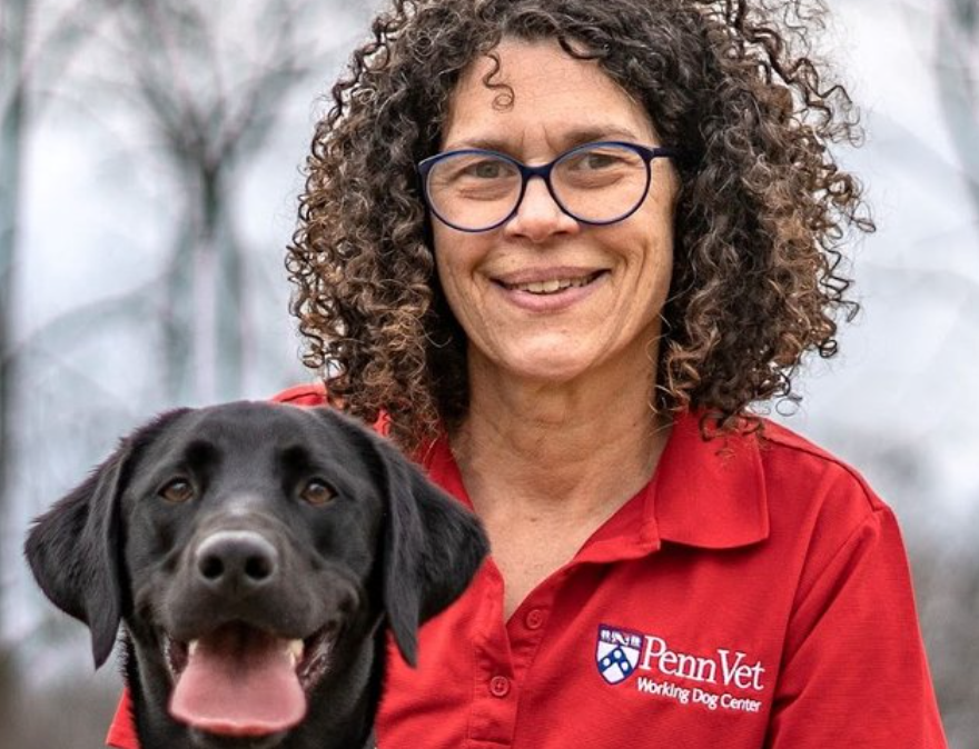 Penn Veterinarian Discovered a Aimple way to Prevent Heat Stroke in ...