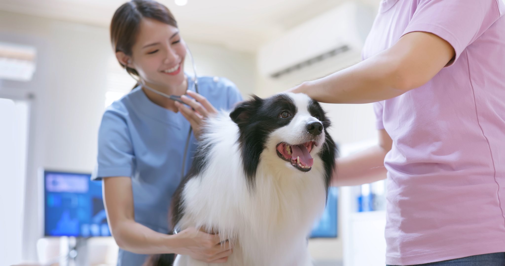 Specific Research | AKC Canine Health Foundation