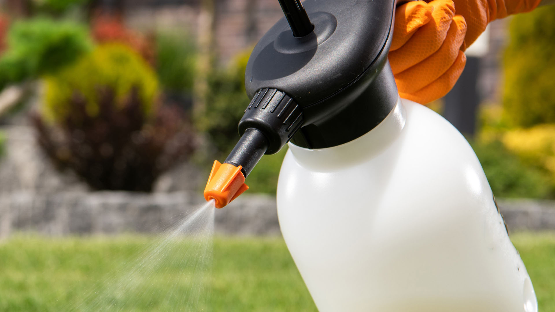 AKC Canine Health Foundation | Poison Prevention for Pets